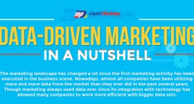 Data-Driven Marketing in a Nutshell (Infographic) | Digital Marketing ...